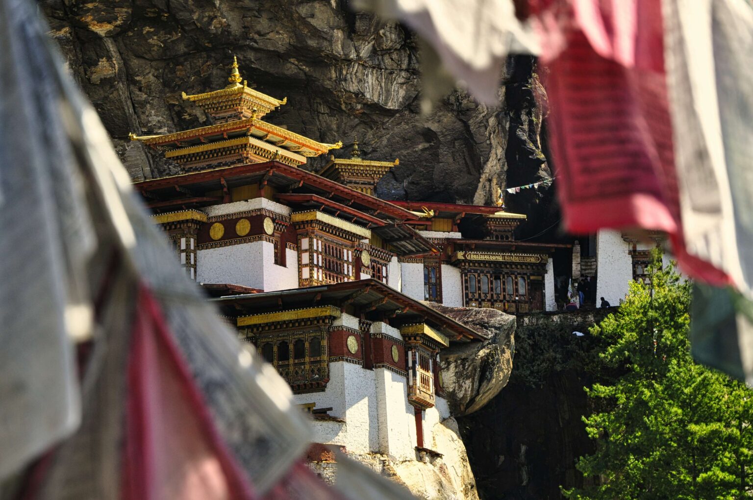 White Raven Tours | Bhutan | Travel Agent | Thimphu – Your Travel ...